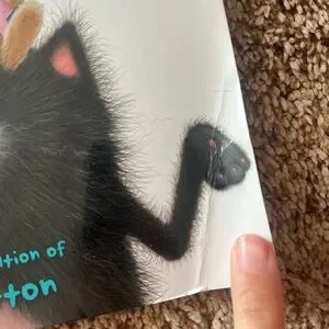 Harper | Other | Splat The Cat Book Setwheres The Easter Bunnytwice The ...
